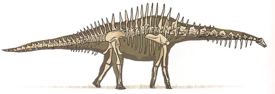 Asperdorsus | King Kong Wiki | Fandom