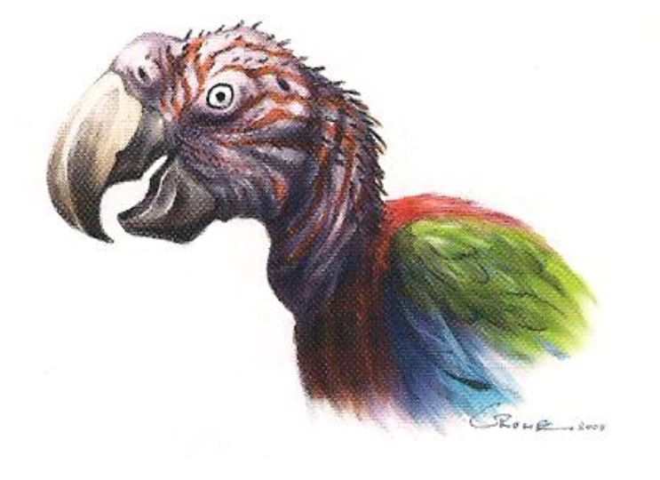 Fiery Carrion Parrot | King Kong Wiki | Fandom