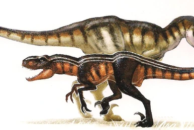 King Kong Ligocristus