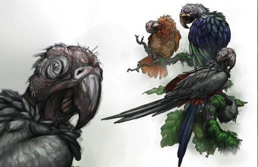 Carrion Parrots | King Kong Wiki | Fandom