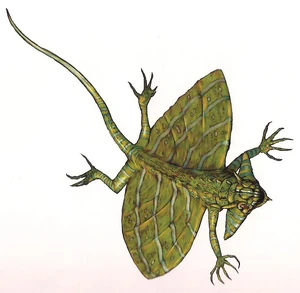 Discus | King Kong Wiki | Fandom