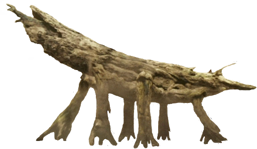 Spore Mantis | King Kong Wiki | Fandom