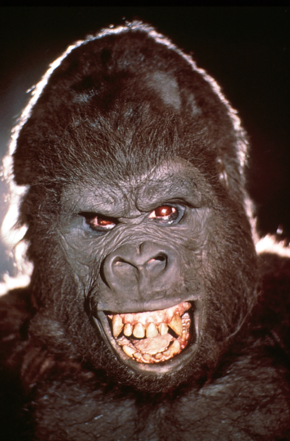 Kong (1976) | King Kong Wiki | Fandom