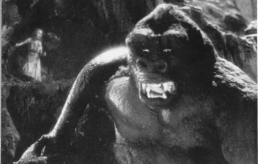 Kong (gatunek 1933) | King Kong Wiki | Fandom