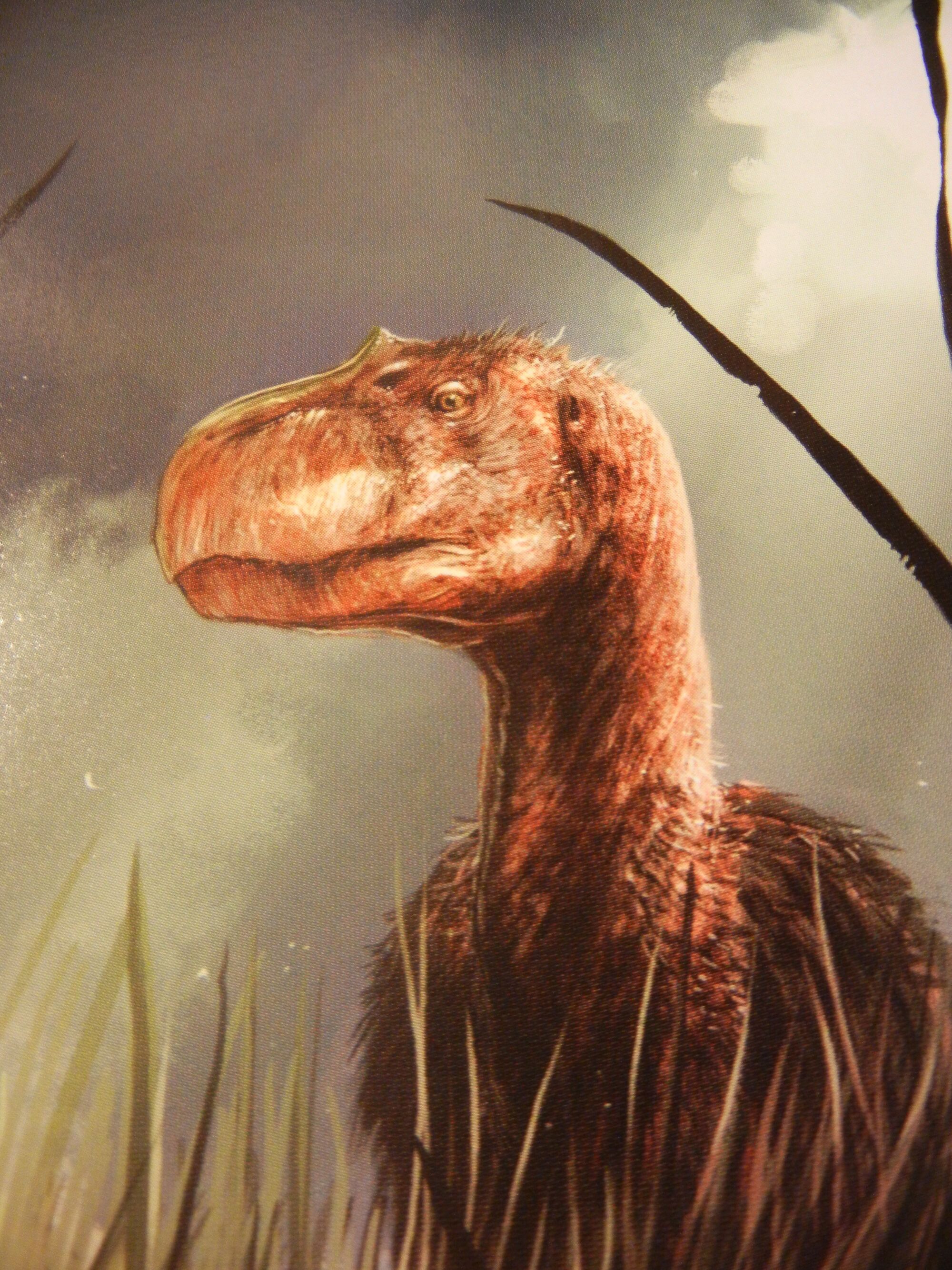 Brutornis King Kong Wiki Fandom
