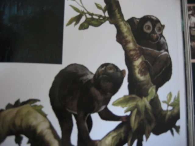 Category:Monkeys | King Kong Wiki | Fandom