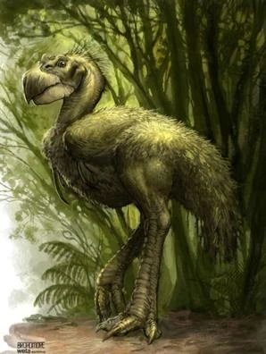 Brutornis | King Kong Wiki | Fandom