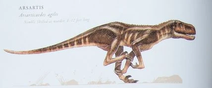 Arsarticaedes asilis | King Kong Wiki | Fandom