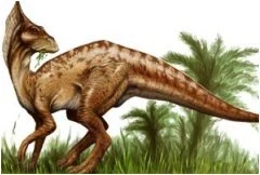 Ligocristus innocens | King Kong Wiki | Fandom