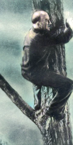 Tim | King Kong Wiki | Fandom