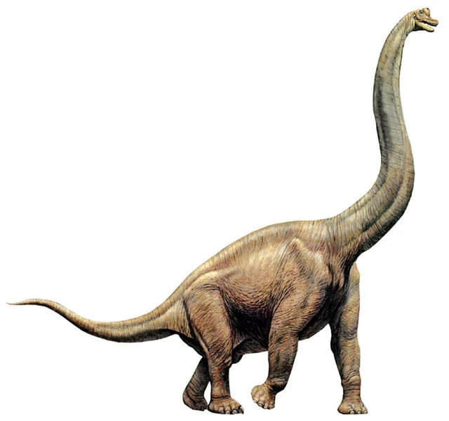 Dinosaur King Brachiosaurus