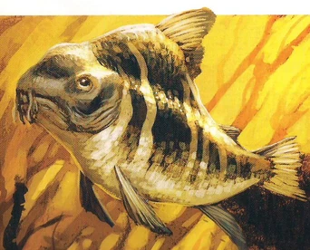 Stink-fish | King Kong Wiki | Fandom