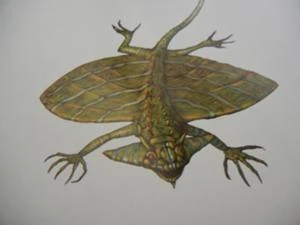 Discus ora | King Kong Wiki | Fandom