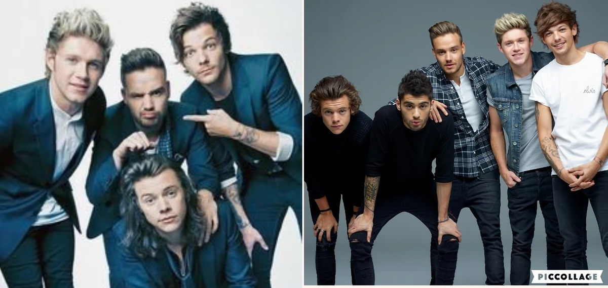 1D | Kingofall231 Wiki | Fandom