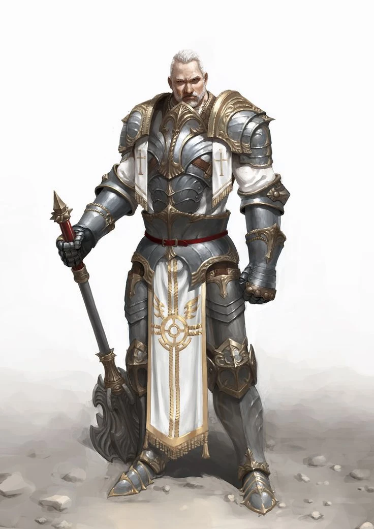 Templar Paladin | Kingdoms of Terfall Wiki | Fandom
