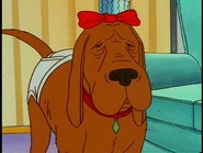 Lady Bird | King of the Hill Wiki | Fandom