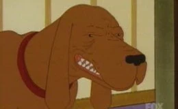 Racist Dawg | King of the Hill Wiki | Fandom