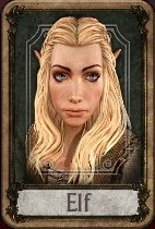 Elf | Kings and Heroes Wikia | Fandom