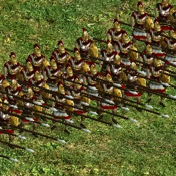 Agema Phalangiton | Kings and Conquerors Wiki | Fandom