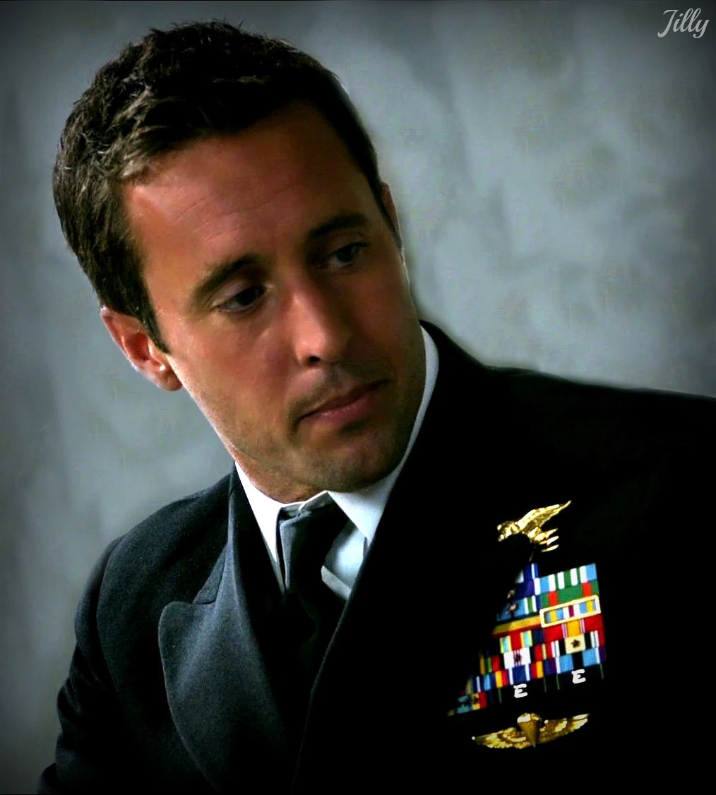 Steve McGarrett | Kingsfan Awards & Decorations Wiki | Fandom