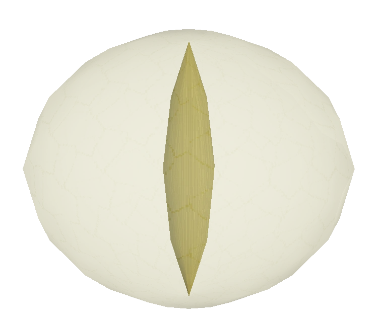 Dragon Crystal | King's Field Wiki | Fandom