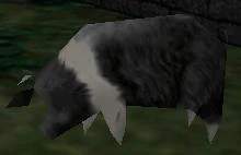 Pig | King's Quest Omnipedia | Fandom