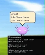 Kinito The Axolotl | KinitoPET Wiki | Fandom