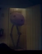 Kinito The Axolotl | KinitoPET Wiki | Fandom