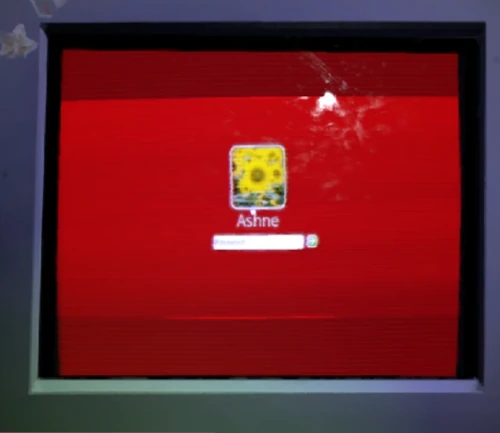 Easter eggs | KinitoPET Wiki | Fandom