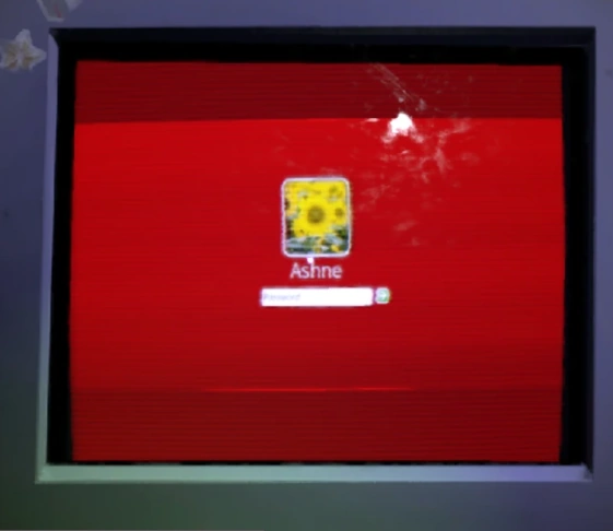 Easter eggs | KinitoPET Wiki | Fandom