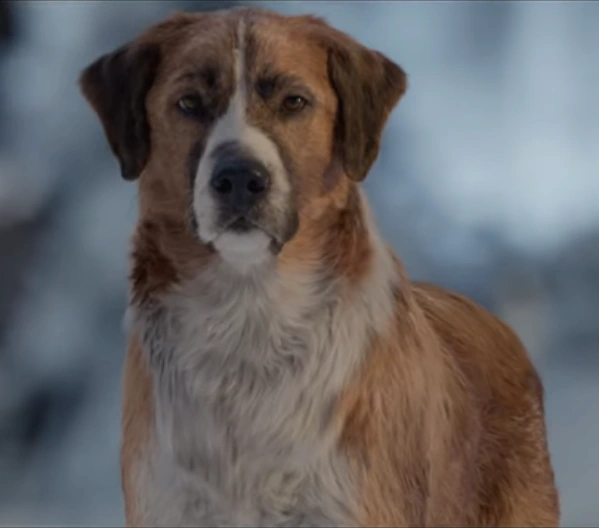 Buck the Dog | Kion's Adventures Wiki | Fandom