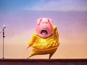 Gunter (Sing) | Kion's Adventures Wiki | Fandom