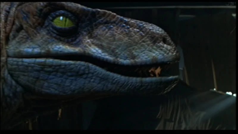 Velociraptor | Kion's Adventures Wiki | Fandom