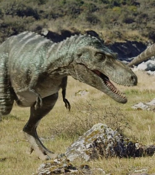 Category:Toro’s Enemies | Kion's Adventures Wiki | Fandom