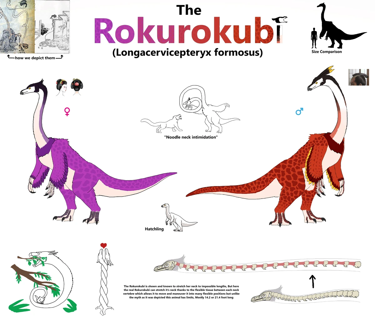 Rokurokubi | Kion's Adventures Wiki | Fandom