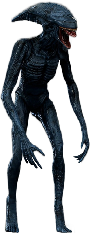 Deacon | Kion's Adventures Wiki | Fandom