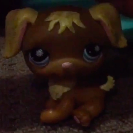 Bruce | KiraAndTheWeb Wiki | Fandom