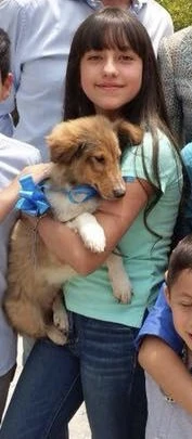 Jade Hendrix | Kirby Fan Fiction Wiki | Fandom