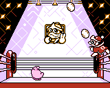 Egg Catcher | Kirby Wiki | Fandom