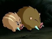 Nruff | Kirby Wiki | Fandom