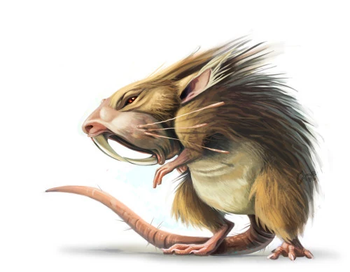 Matthias | Kirby's DnD Wikia | Fandom