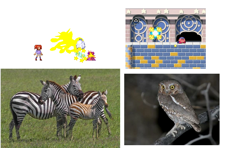 Elf Owl | Kirino, Rikka, Ookami, Rio - All Stars Wiki | Fandom