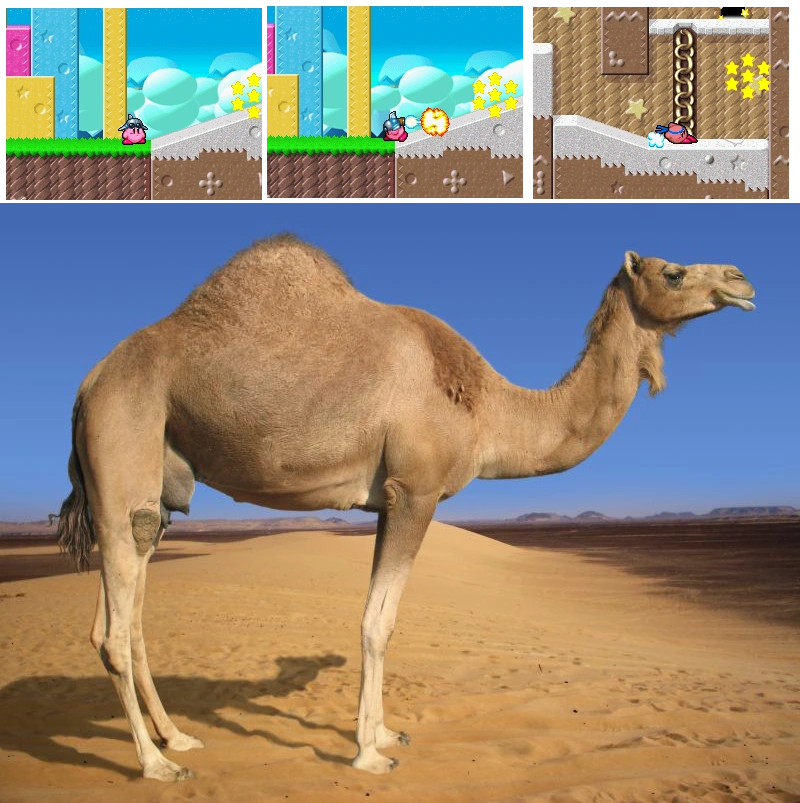 Dromedary | Kirino, Rikka, Ookami, Rio - All Stars Wiki | Fandom