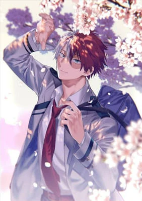 Shoto Todoroki | Kiri's headcanons Wiki | Fandom