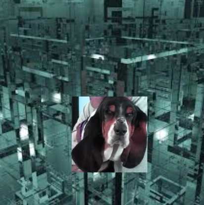 Hazel's Mirror Dimension | Kirk Weiler Wikia | Fandom