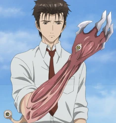 Migi | Kiseijuu Wiki | Fandom