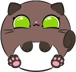 Bacon Meow | Kitten Catfe Wiki | Fandom