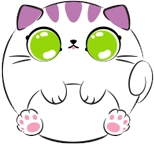 Flurry Meow | Kitten Catfe Wiki | Fandom
