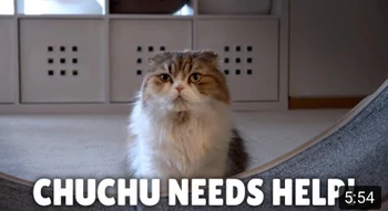 ChuChu Needs Your Help! | Kittisaurusvillains Wiki | Fandom