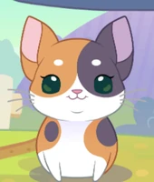 Pooka | Kitty Catsanova Wiki | Fandom